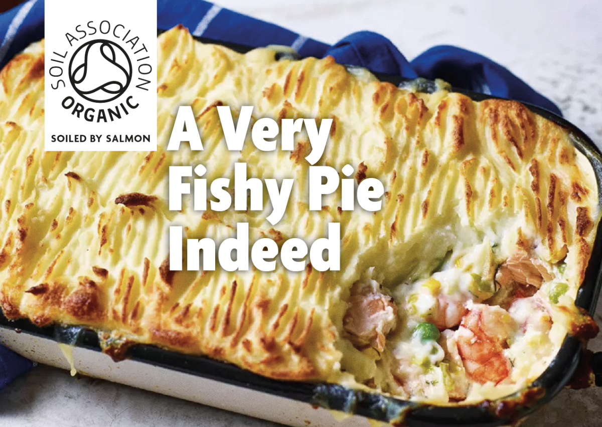 Ocean Rebellion | Home